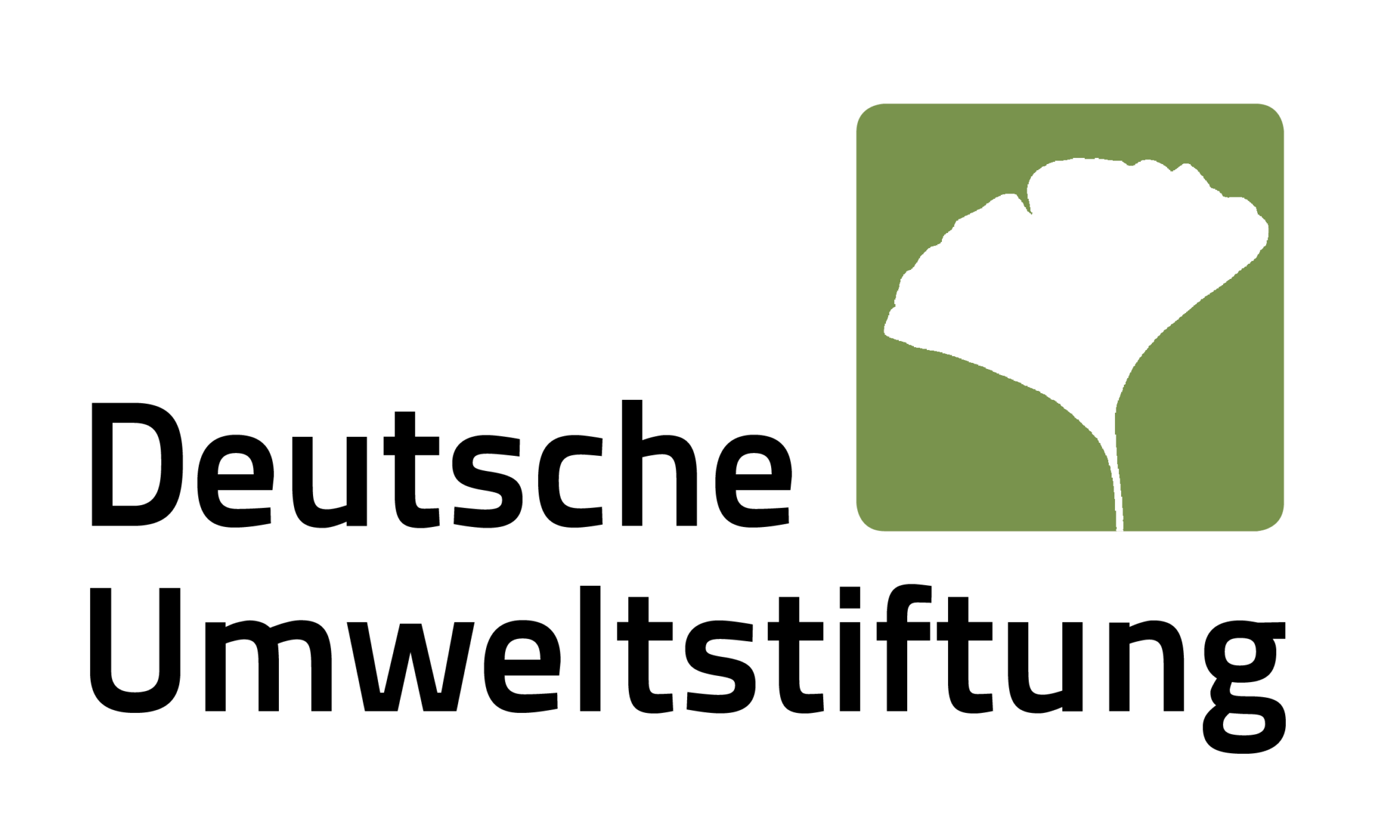 Über das Projekt - Walddetektive Über das Projekt - Walddetektive